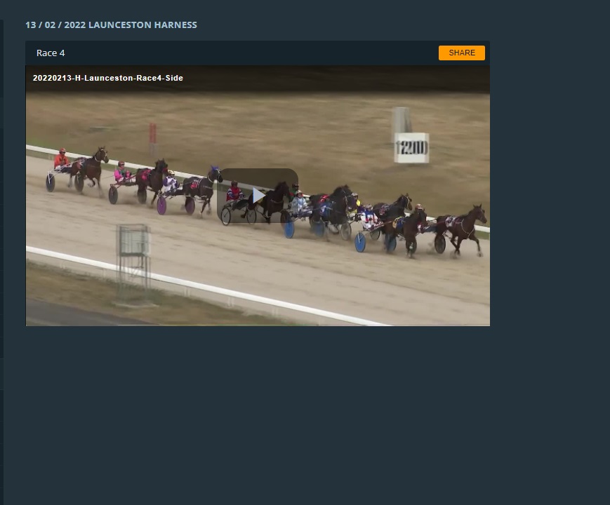 EXCLUSIVE: Where Has the Head on Vision Gone Mr Shinn? - A Four-Legged ...