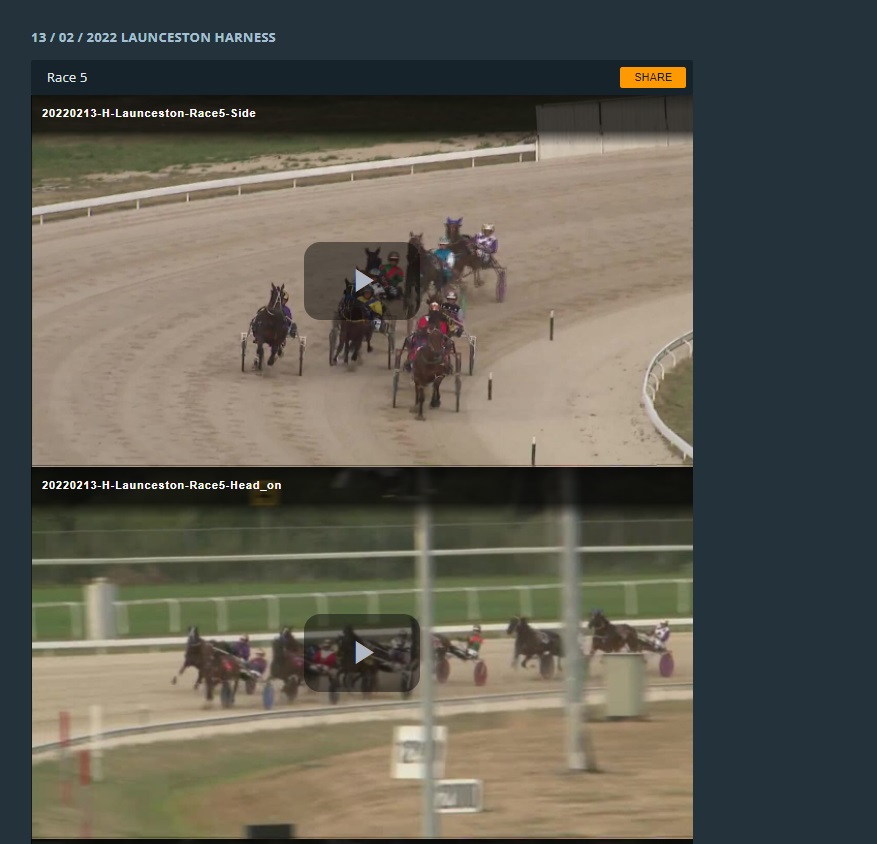 EXCLUSIVE: Where Has the Head on Vision Gone Mr Shinn? - A Four-Legged ...